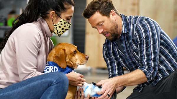 'Wizard of Paws' Helps Animals on BYUtv (Plus The Dodo & Nat Geo WILD)