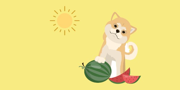 5 Movies and TV Shows Perfect for the Dog Days of August