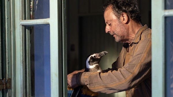 'My Penguin Friend': A Friendship Forged in Kindness