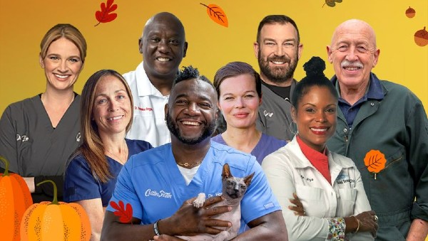 Nat Geo WILD's Weeklong 'Vetsgiving' Introduces 'Pop Goes the Vet'